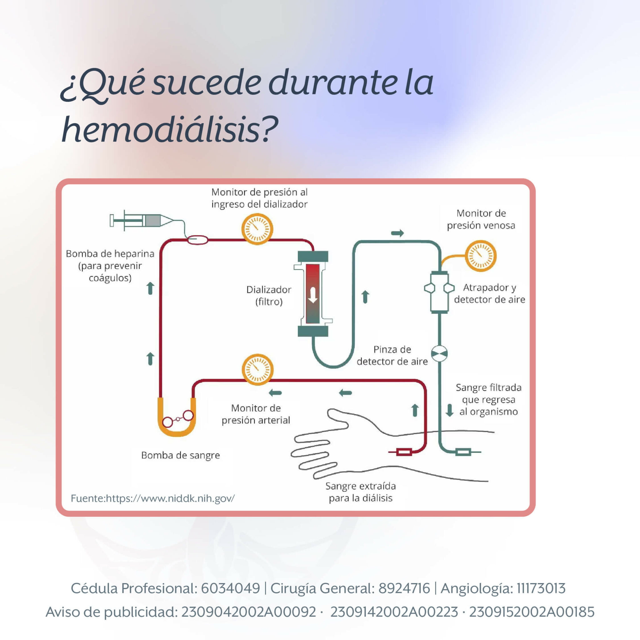 Todo Sobre Los Accesos Vasculares Dr Christian César León Rey
